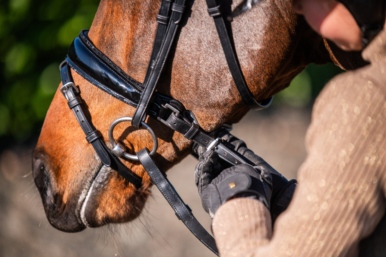 Welcome at UNIQ Bridles | Anatomical Bridles for Optimal Comfort