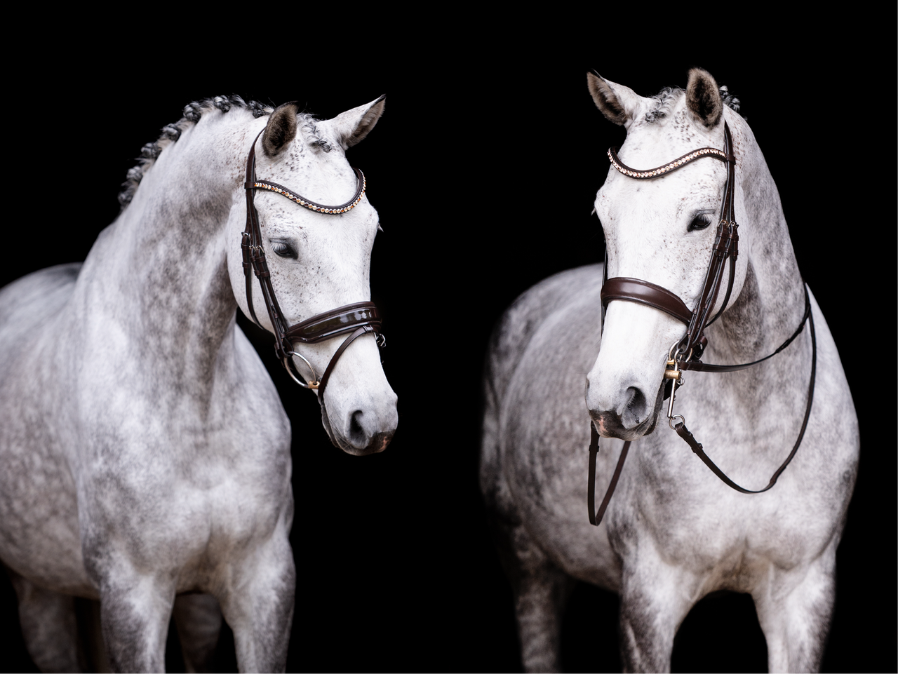 Creëer je eigen UNIQ Bridle | De ultieme customizer – UNIQ Bridles